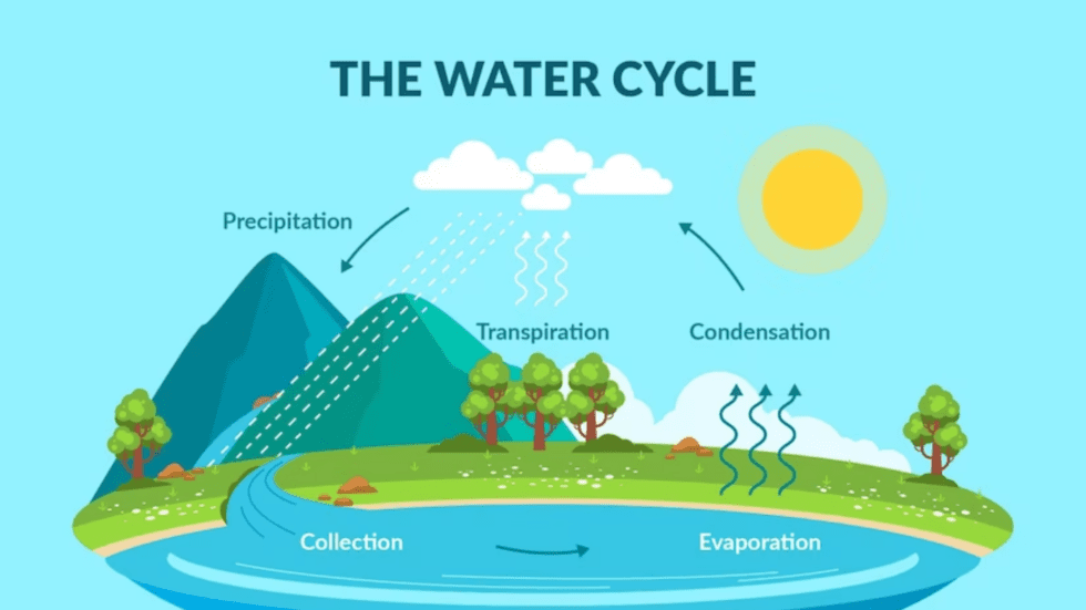 Cycles in Matter and Water – doerdo